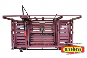 Tronco Eletrônico – Baioco